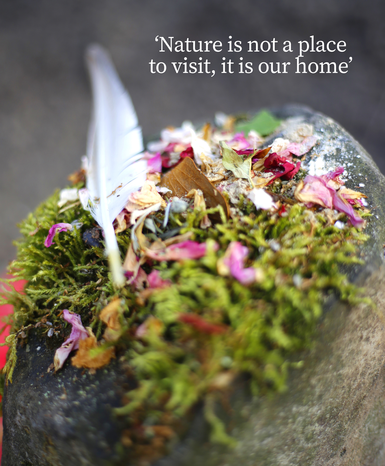 Kiva – The call of the Wisdom Keepers